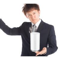 China Huawei L01S Unlocked 4G LTE Indoor CPE WiFi Router 300Mbps Dual Band 2.4G 5G for sale