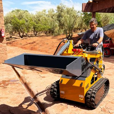 China New Ce Epa Engine Diesel Skidsteer Mini Wheel Crawler Loader Earth-Moving Machinery Mini Skid Steer Loader for sale