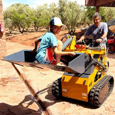 China Factory Mini Skid Steer Loader EPA EURO 5  Mini Skid Steer Loaders Gasoline Crawler Mini Loader for Sale for sale