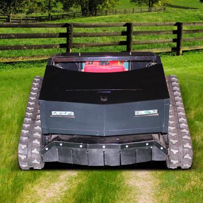 China HOT Selling Unbeatable Export Prices for Premium Lawn Mowers for sale