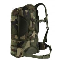 China Army Green Molle Tactical Gear Backpacks For Hiking , Tactical Day Pack for sale