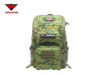 China Man Women Outdoor Fieldline Tactical Backpack For Camping Hiking Trekking Sport for sale