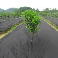 China Garden Woven Agricultural Landscape Fabric Windproof Multipurpose for sale
