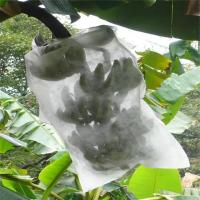 China Anti UV Fruit Tree Protection Bags , Spunbond Nonwoven Bags To Cover Fruit On Trees for sale