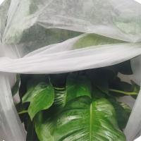 China Recycle Crop Cover Cloth Multiscene , Waterproof Winter Fleece For Plants for sale