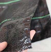 China BSCI Landscape Weed Control Fabric Heavy Duty Windproof Practical for sale