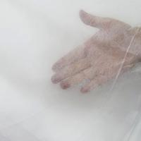 China 1.6mx10m Plant Protection Fleece , Multipurpose Non Woven Crop Cover for sale