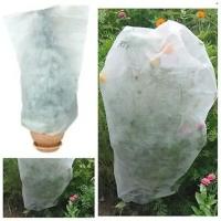 China Windproof Winter Tree Cover Bag Durable , Anti Freeze Frost Bags For Trees for sale
