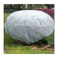 China Windproof Winter Tree Cover Bag Durable , Anti Freeze Frost Bags For Trees for sale