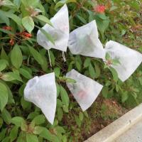 China Garden Plant Protection Bag Polypropylene Non Woven Fabric Breathable for sale