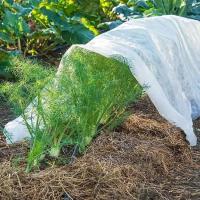 China 0.7x0.8m Frost Plant Protection Bag Anti Static Nontoxic Eco Friendly for sale