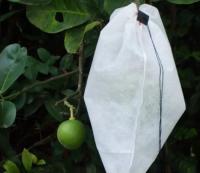 China Durable Fruit Plant Protection Bag Nonwoven Biodegradable Fabric for sale