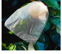China Durable Fruit Plant Protection Bag Nonwoven Biodegradable Fabric for sale