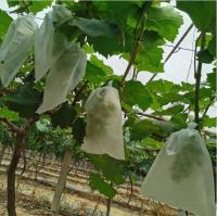 China Waterproof Plant Protection Bag To Protect Grapes Vegetable Practical for sale