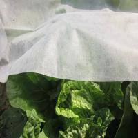 China Width 3.2m Frost Protection Fleece Fabric Multipurpose Practical for sale