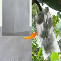 China Anti UV Plant Protection Bag Windproof PP Non Woven Fabric For Banana for sale