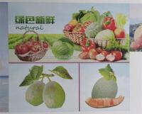China High Definition Flexo Printing Slotting Rotary Die-Cutting Machine for sale
