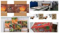China 40000 KG High Definition Flexo Printing Slotting Rotary Die Cutting Machine for Corrugated Carton Box for sale