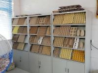 China State-of-the-Art Egg Tray Machine for Sustainable Packaging Solutions for sale