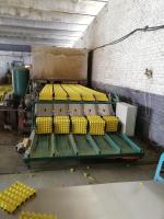 China State-of-the-Art Egg Tray Machine for Sustainable Packaging Solutions for sale