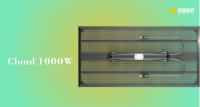 China Advertising LED Video Wall Screen P20 Indoor Led Video Display Board for sale