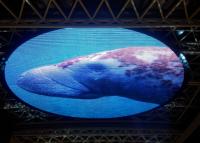 China Advertising Glass LED Transparent Screen Outdoor For Shopping Mall for sale
