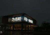 China P100 DIP347 Transparent LED Curtain Display 2R2G2B LED Mesh Video Wall for sale
