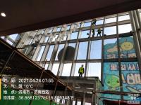 China P25 Shopping Mall 2R2G2B Glass LED Screen DC36V RGB Transparent Led Display for sale
