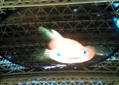 China EMC B P25 P31 Outdoor Transparent Led Screen IP67 260W/Sqm for sale