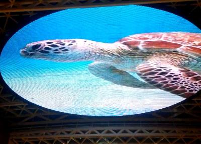 China DC48V P31.25 Transparent Led Video Wall 5760CD/Sqm For Window for sale