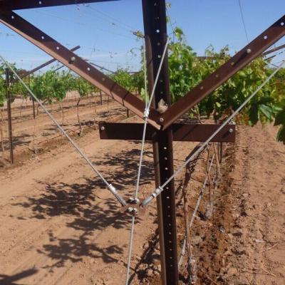 China 6.35mm Diameter Galvanized Carbon Steel Wire Rope Sling for Grape Trellis with Accessories for sale