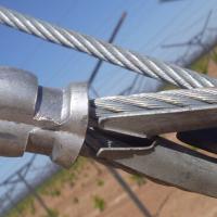China 6.35mm Diameter Galvanized Carbon Steel Wire Rope Sling for Grape Trellis with Accessories for sale