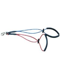 China Adjustable Dog Tie Out Cable with Stainless Steel Snap Hook for High Durability Grooming Noose for sale