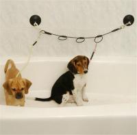 China Heavy Duty PVC Coated High Carbon Steel Dog Tie Out Cable for Pet Restraint and Training for sale