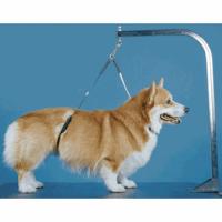 China No Sit Haunch Holder Dog Tie Out Cable Adjustable For Grooming Noose for sale