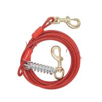 China Hand Free Dog Tie Out Cable And Stake PVC Coated With Heavy Duty Spiral Dog Stake for sale