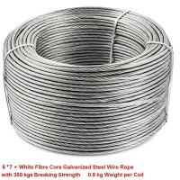 China Clear Vinyl Coated Galvanized Steel Wire Rope 2.0mm Diameter with 1770 MPa Tensile Strength for Safety Protection for sale