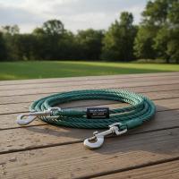 China Heavy Duty Dog Tie Out Cable with 100 Pounds Capacity, 20 Foot Length, and Weather-resistant Steel Construction for Large Dogs for sale