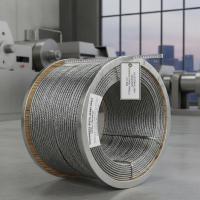 China Galvanized Steel Aircraft Cable 2.0mm Diameter with 1770 MPa Tensile Strength and GBT20118-2006/DIN3055-72 Standard for sale
