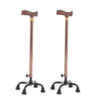 China Plastic Handle Crutches And Walkers For Seniors Lightweight Folding Walking Stick for sale