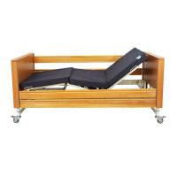 China Electric Lift Paralyzed Nursing Bed Brown  Adjustable 4 Function for Hospital Furniture for sale