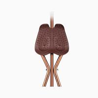 China Foldable Cane with Seat The Perfect Combination of Functionality and Portability for sale