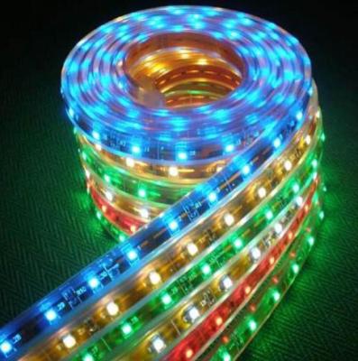 China LED flexiable neon light for outdoor lighting with remote RGB controller power supplier for sale