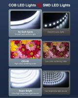 China 9.84ft 480leds/m 24v 6000K 10mm COB Led Light Strip Daylight White for indoor lighting decoration for sale