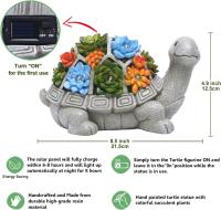 China Succulent 7 LED Lights Solar Garden Outdoor Statues Turtle for Patio Balcony Unique Housewarming Gifts for sale