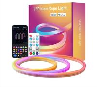 China App Controlled Waterproof RGBIC LED Lights With Music Sync Multiple Scene Modes for sale