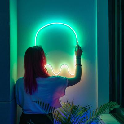 China RGBIC LED Lights With Wireless Control Android IOS Compatible IP44 Waterproof for sale
