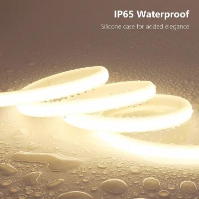 China Waterproof IP65 LED Strip Lights Clear Concave Lens Warm White/Blue/Green/Red/Pink for sale