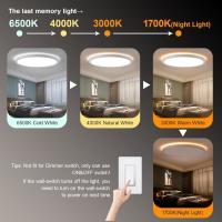 China Metal Hardwired 1800 Lumens Ceiling Light RGBIC 3000K - 6500K Color Temp 100 - 220V for sale