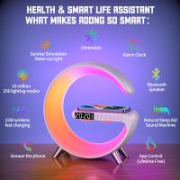 China 5V USB Adjustable Brightness RGBIC LED Lights With Bluetooth Speaker Wireless Changing Function for sale